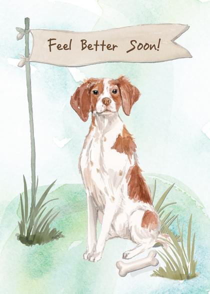 Spaniels and Dogs Get Well (Other) Card with your own Handwriting ...