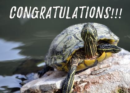 Turtles and Simply Happy Birthday Congratulations Card with your own ...