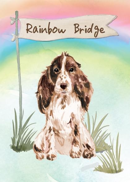 Spaniels and Rainbow Bridge Sympathy (Animals) Card with your own ...
