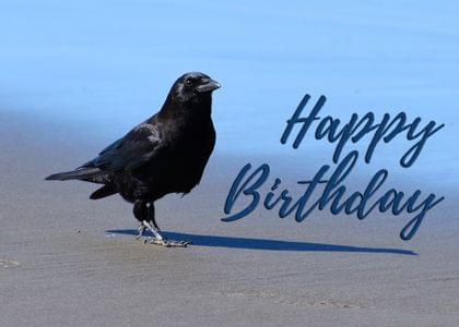 Simply Happy Birthday and Crows Birthday Card with your own Handwriting ...