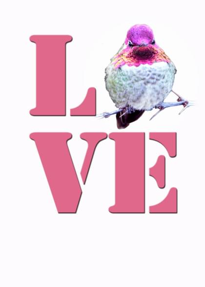 Hummingbirds Love Card with your own Handwriting. Denise Bruchman ...