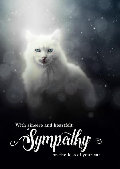 Cats Sympathy (Animals) Card with your own Handwriting. Salon Of Art ...