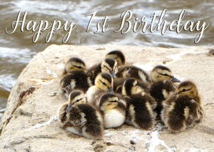 Ducklings and Simply Happy Birthday Birthday Card with your own ...