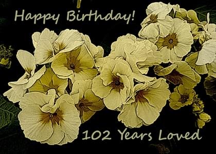 Treasure Maps birthday cards for your special someone turning 102