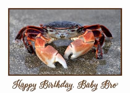 Crabs and Simply Happy Birthday Birthday Card with your own Handwriting ...