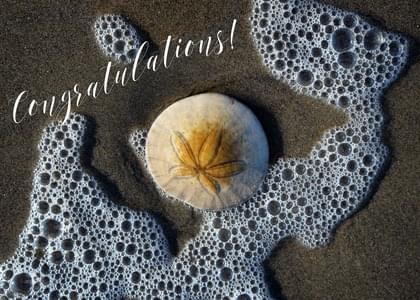 Sand Dollars and Simply Happy Birthday Congratulations Card with your ...
