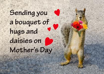 Squirrels and Romantic Birthday Mother's Day Card with your own ...