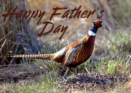 Pheasants and Simply Happy Birthday Father's Day Card with your own ...
