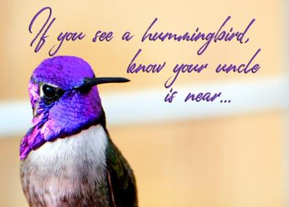 Hummingbirds Sympathy (People) Card with your own Handwriting. Denise ...