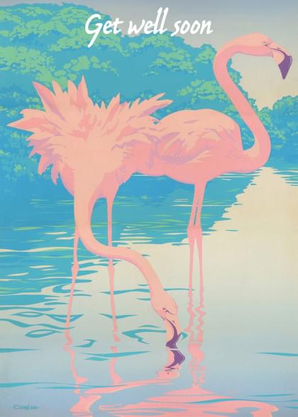 Flamingos and Tropical Get Well (General) Card with your own ...