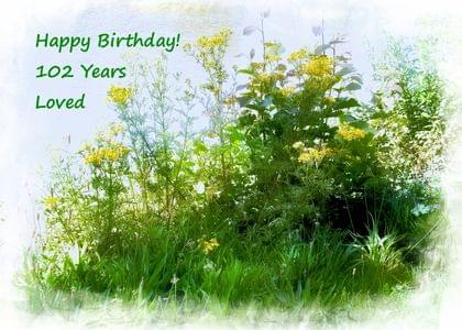 Fire Extinguishers birthday cards for your special someone turning 102