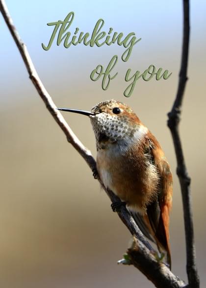 Hummingbirds Thinking Of You Card with your own Handwriting. Denise ...