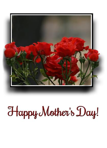 Roses Mother's Day Card with your own Handwriting. Stephanie Laird ...