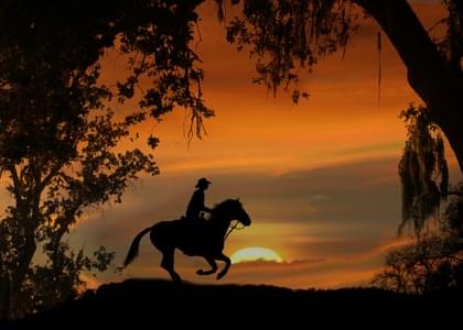 Horses and Cowboys Retirement Card with your own Handwriting. Stephanie ...
