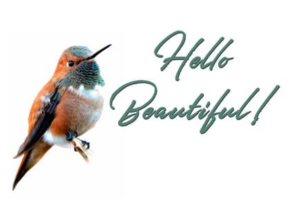 Hummingbirds Greetings/Hello Card with your own Handwriting. Denise ...
