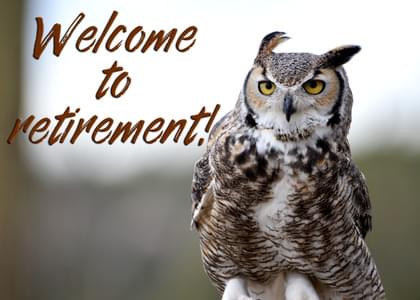 Owls and Simply Happy Birthday Retirement Card with your own ...