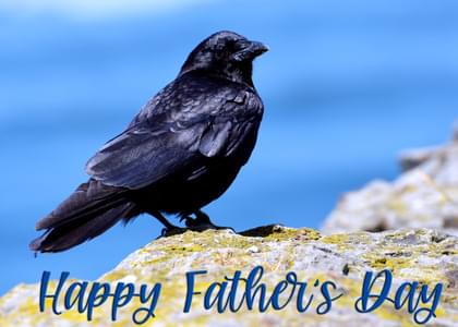 Crows Father's Day Card with your own Handwriting. Denise Bruchman ...