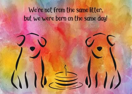 Commiserative Birthday and Dogs Birthday Card with your own Handwriting ...