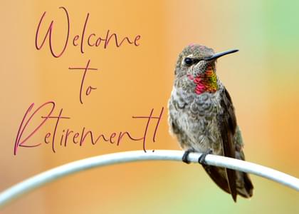 Hummingbirds Retirement Card with your own Handwriting. Denise Bruchman ...