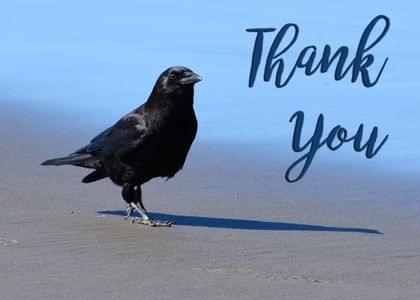 Crows and Simply Happy Birthday Thank You (General) Card with your own ...