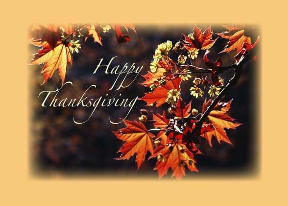 Fall Thanksgiving Card with your own Handwriting. Sandra Rose Designs ...