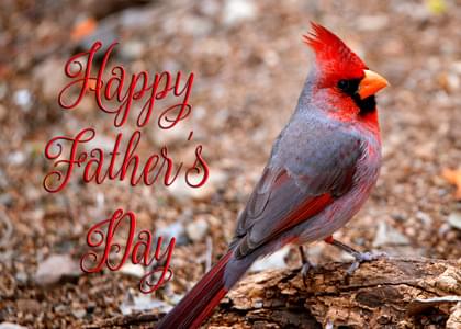 Cardinals and Simply Happy Birthday Father's Day Card with your own ...